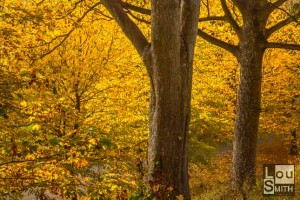 Fine Art Photography News Blog | Fine Art Photographer Lou Smith ...